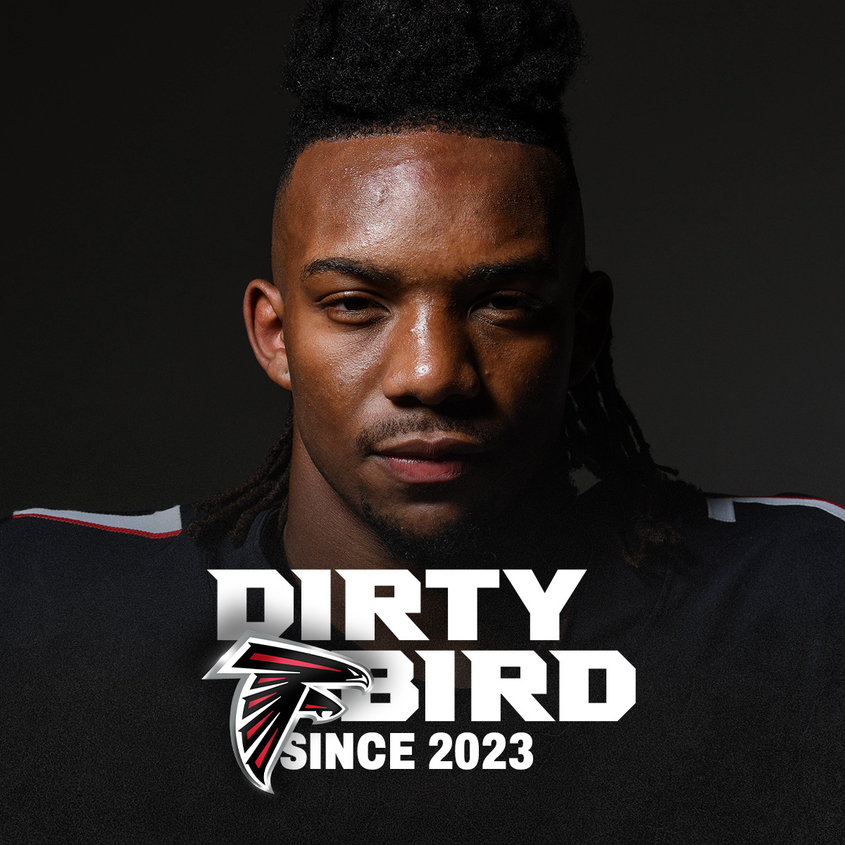 We're All Dirty Birds — Atlanta Falcons Profile Photo Generator