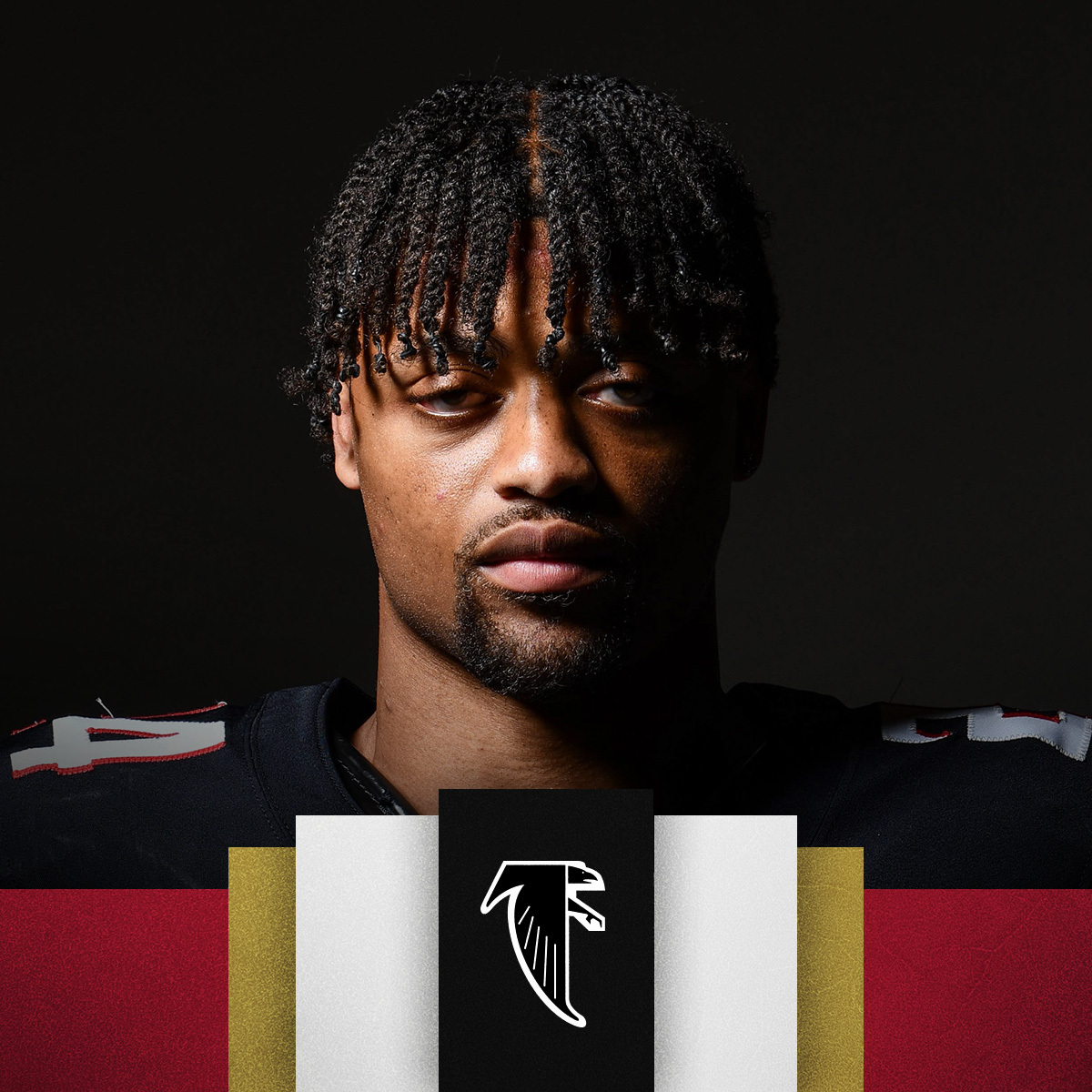 We're All Dirty Birds — Atlanta Falcons Profile Photo Generator
